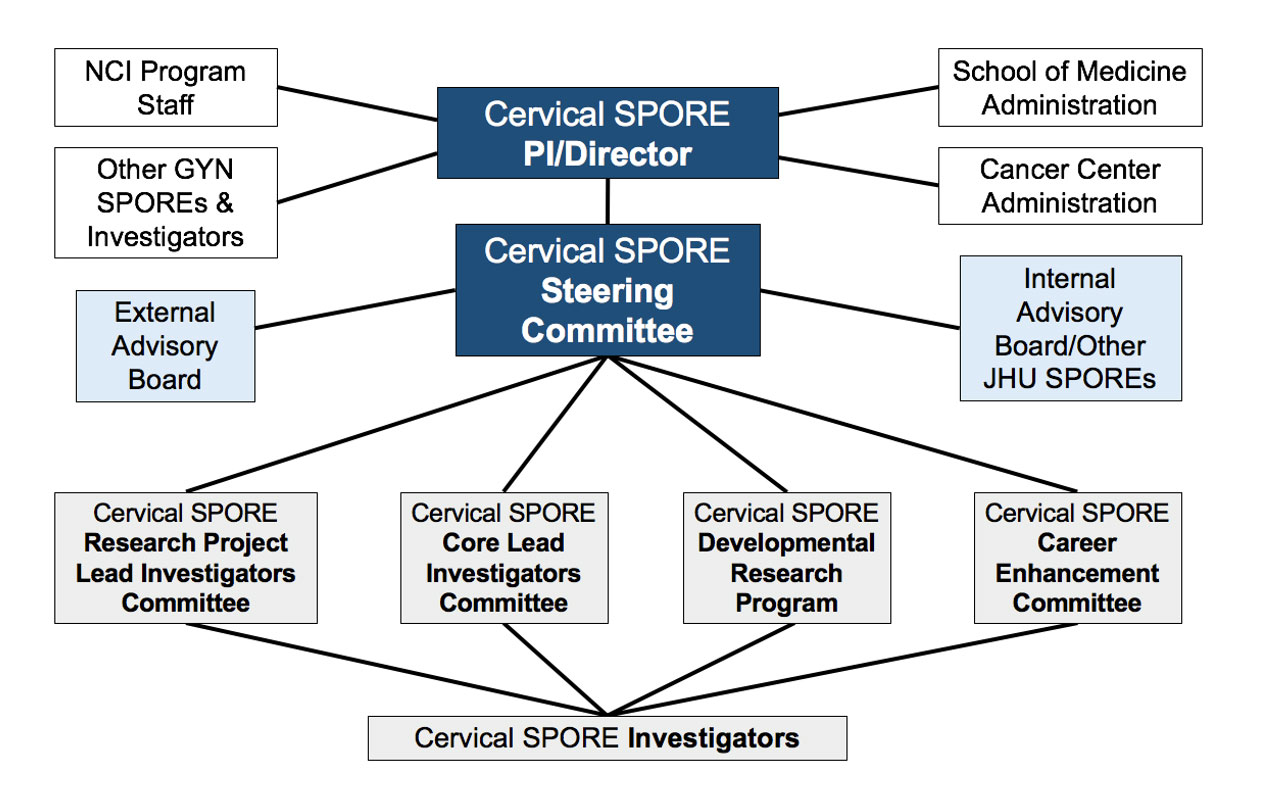 Planning & Evaluation Activities – SPORE in Cervical Cancer
